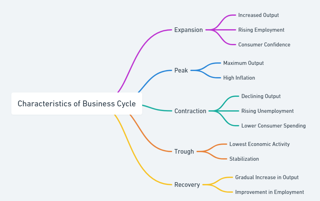 Phases & Characteristics of Business Cycle