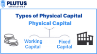 Difference Between Physical Capital and Human Capital