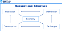 Occupational Structure: Definition, Features, Types & Importance