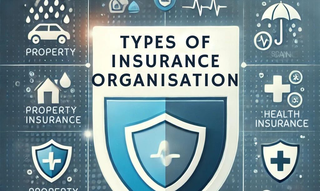 Types of Insurance Organisation & Their Importance in India