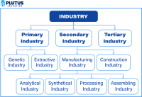 Classification of Industry: Primary, Secondary, & Tertiary Sector