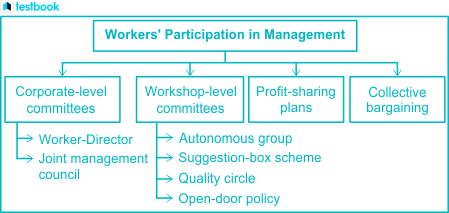 Workers' Participation in Management: Origin, Roles & Benefits