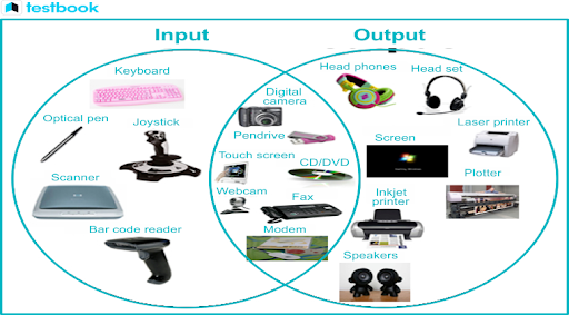 Input and Output Devices: Types, Functions, and Key Examples